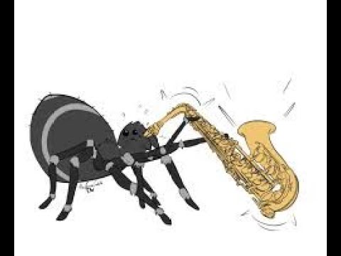 Spider Dance for Saxophone Quartet - YouTube