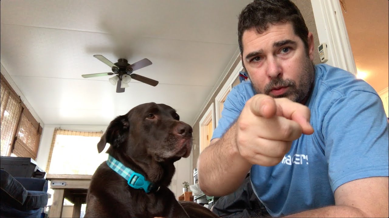 Arrf Arf, Woof Woof Woof (Oh Boy... He made me a bone!) - YouTube