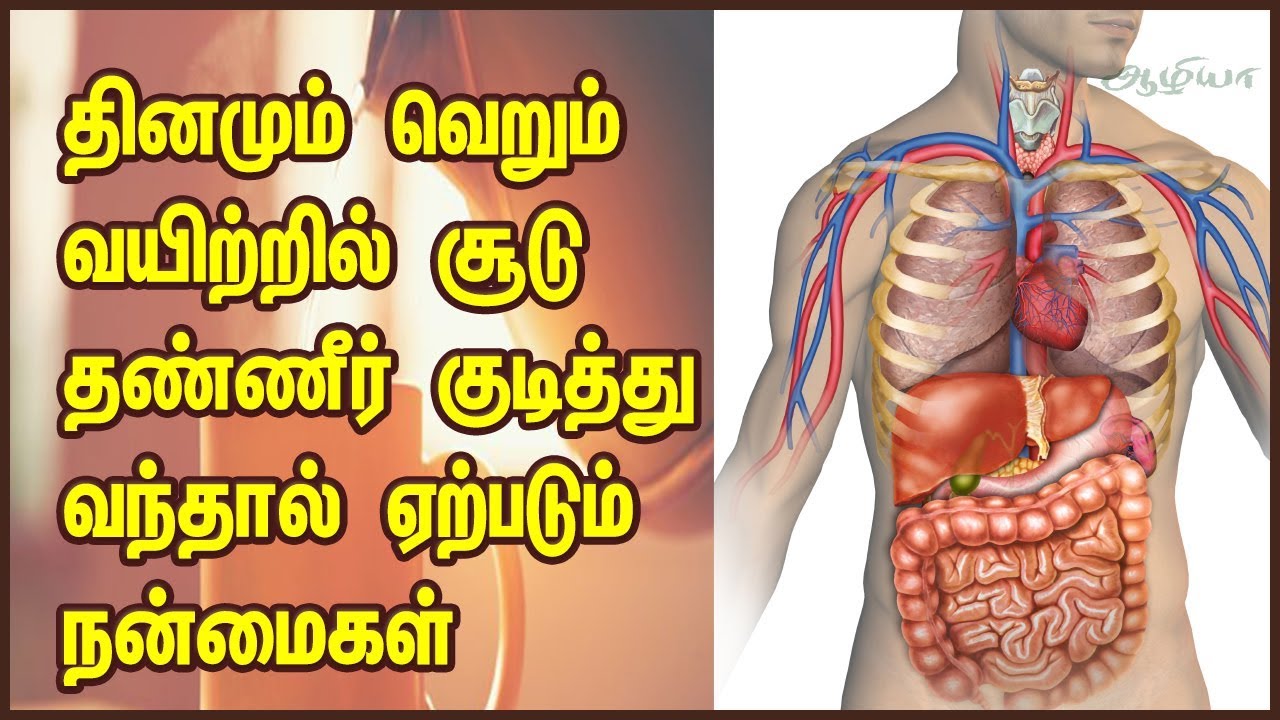 Benefits Of Drinking Hot Water In Tamil HotWater Benefits In Tamil benefits-of-drinking-hot-water-in-tamil-hotwater-benefits-in-tamil