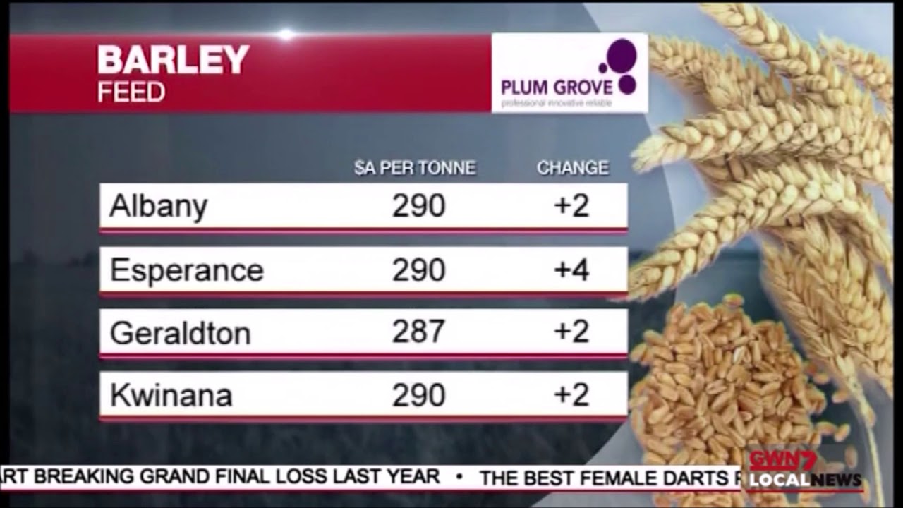 Plumgrove - GWN7 News - 26 April 2019 - YouTube