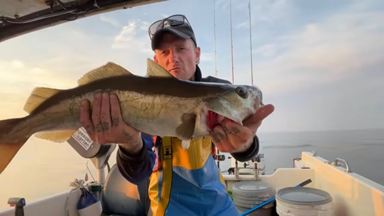 Live Wreck Fishing! - Lure Fishing For Pollock, Cod and Pouting! - Plus ...