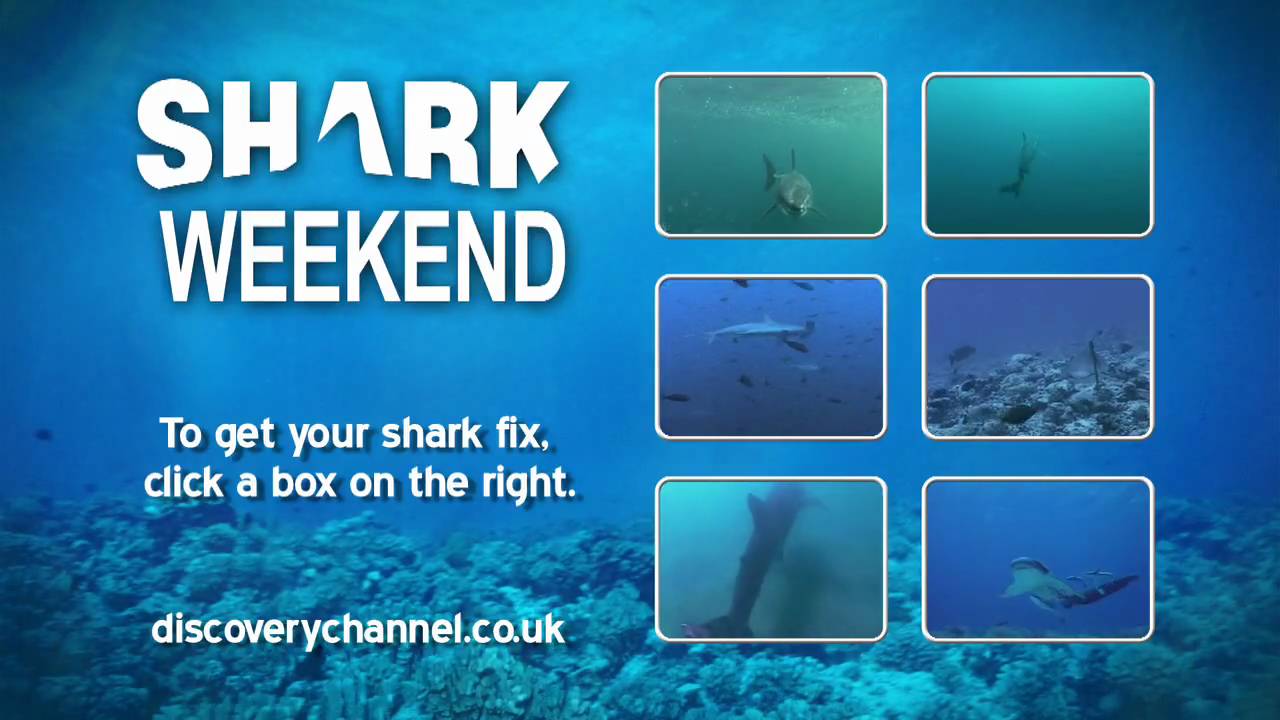 Shark Weekend - Get your Shark Fix - YouTube