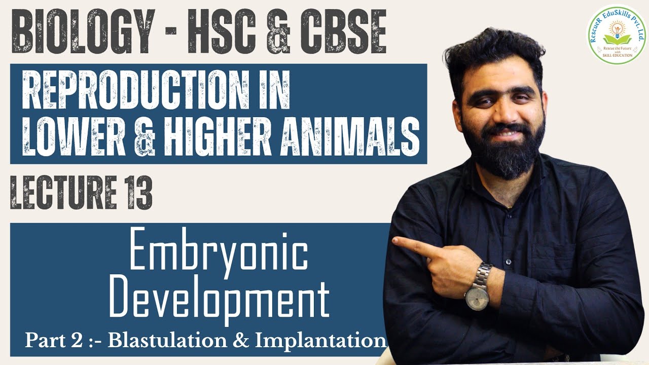 Reproduction in Lower & Higher Animals | Class 12 | Blastulation ...