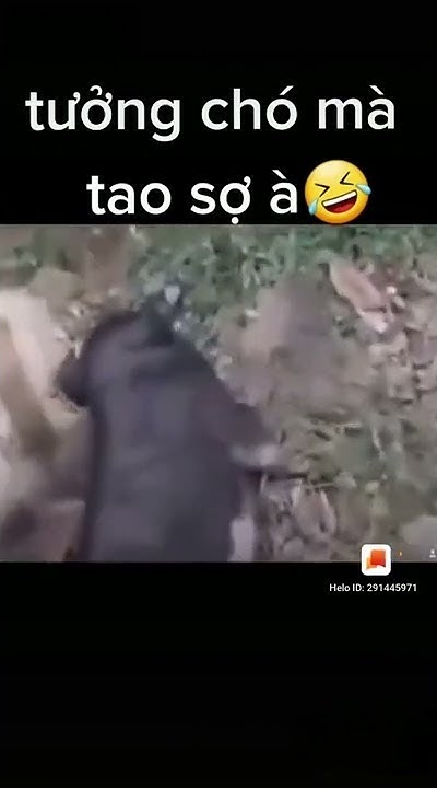 file:///storage/emulated/0/Download/9YBRYny4AQA%3D.zip - YouTube