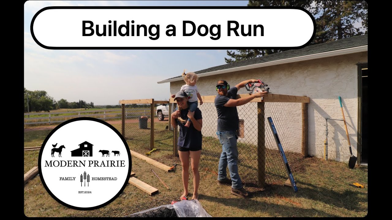 Building a Dog Run - YouTube