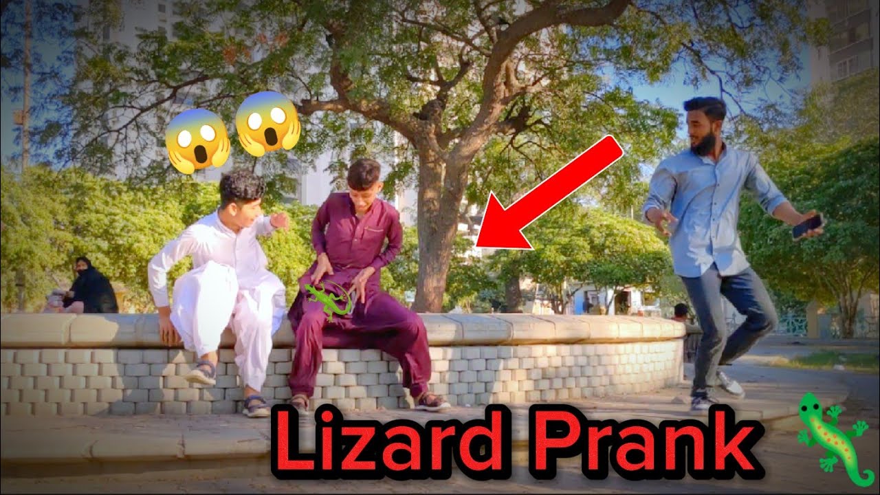 Lizard 🦎 Prank In Public | Shocking Reaction 😱 | prank in Pakistan ...