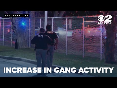 Salt Lake County Metro Gang Unit warns gang violence can erupt at random, in public spaces