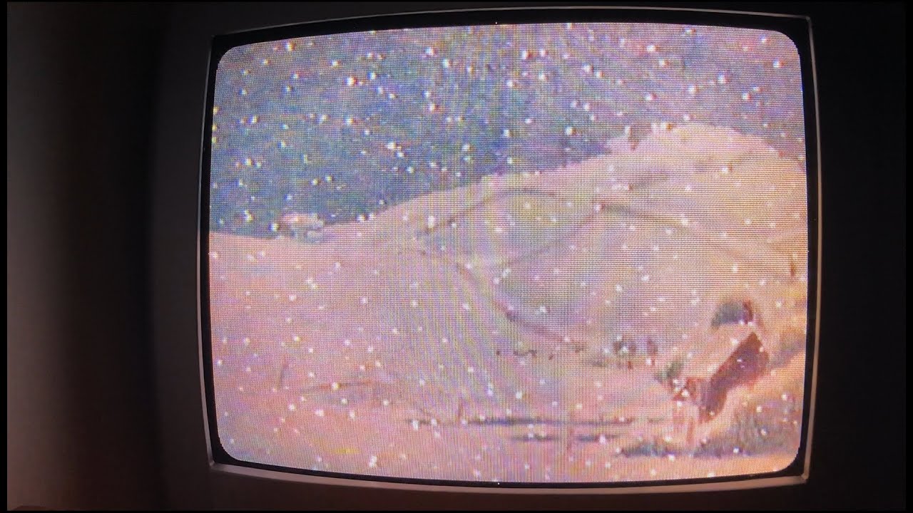 Opening to The Snowman 1993 VHS (1994 Reprint) - YouTube