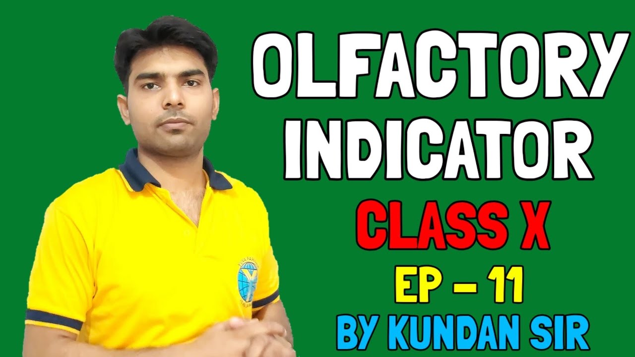 OLFACTORY INDICATORS CLASS X CHAPTER 2 ACIDS BASES SALTS CBSE OLFACTORY INDICATORS CLASS X CHAPTER 2 ACIDS BASES SALTS CBSE