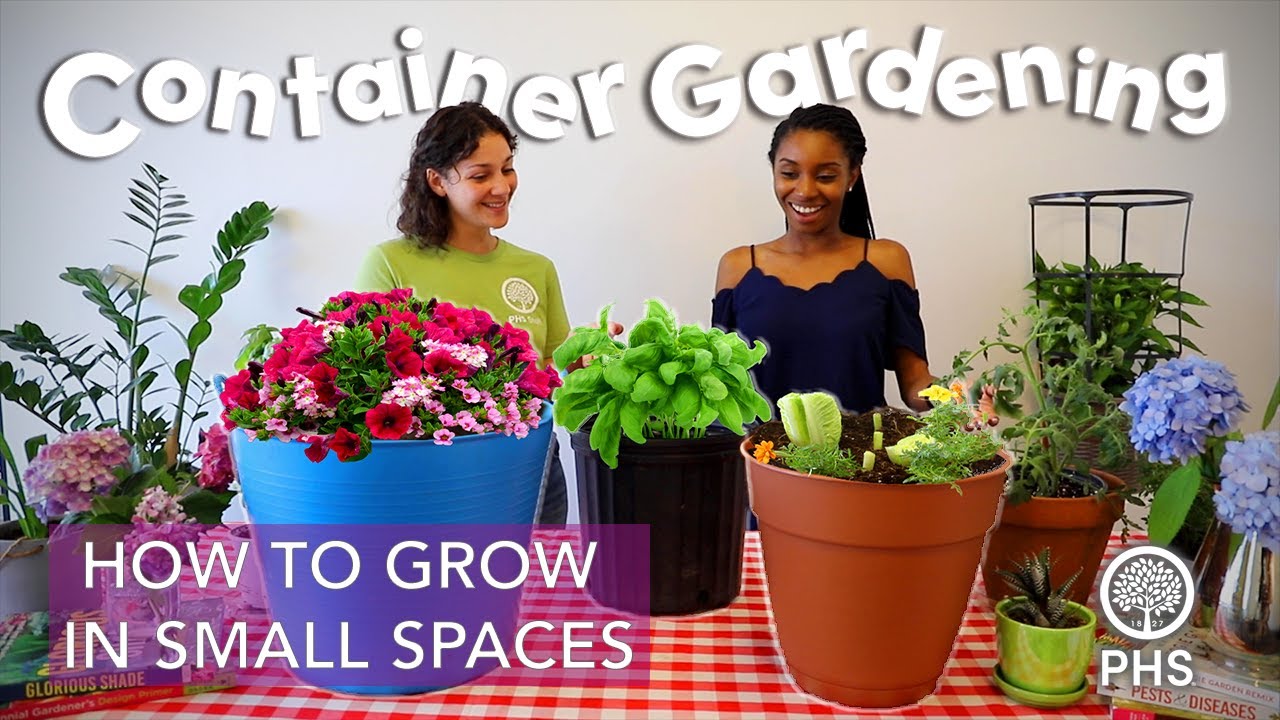 How to Start a Container Garden | PHS Garden Mythbusting - YouTube