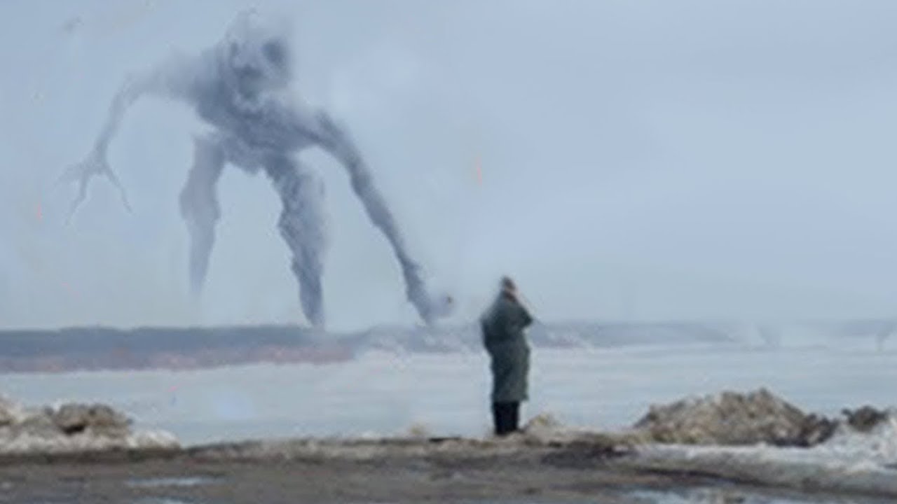 Top 5 Ice Creatures That Actually Exist - YouTube