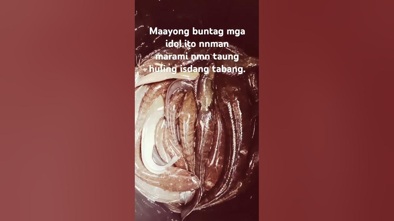 Isdang tabang.marami taung huli mga idol kinawel namin ito kagabi - YouTube