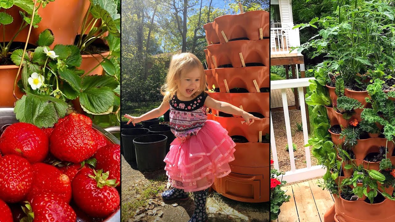 Beautiful gardeners and organic harvests: 125+ Garden Tower growers ...