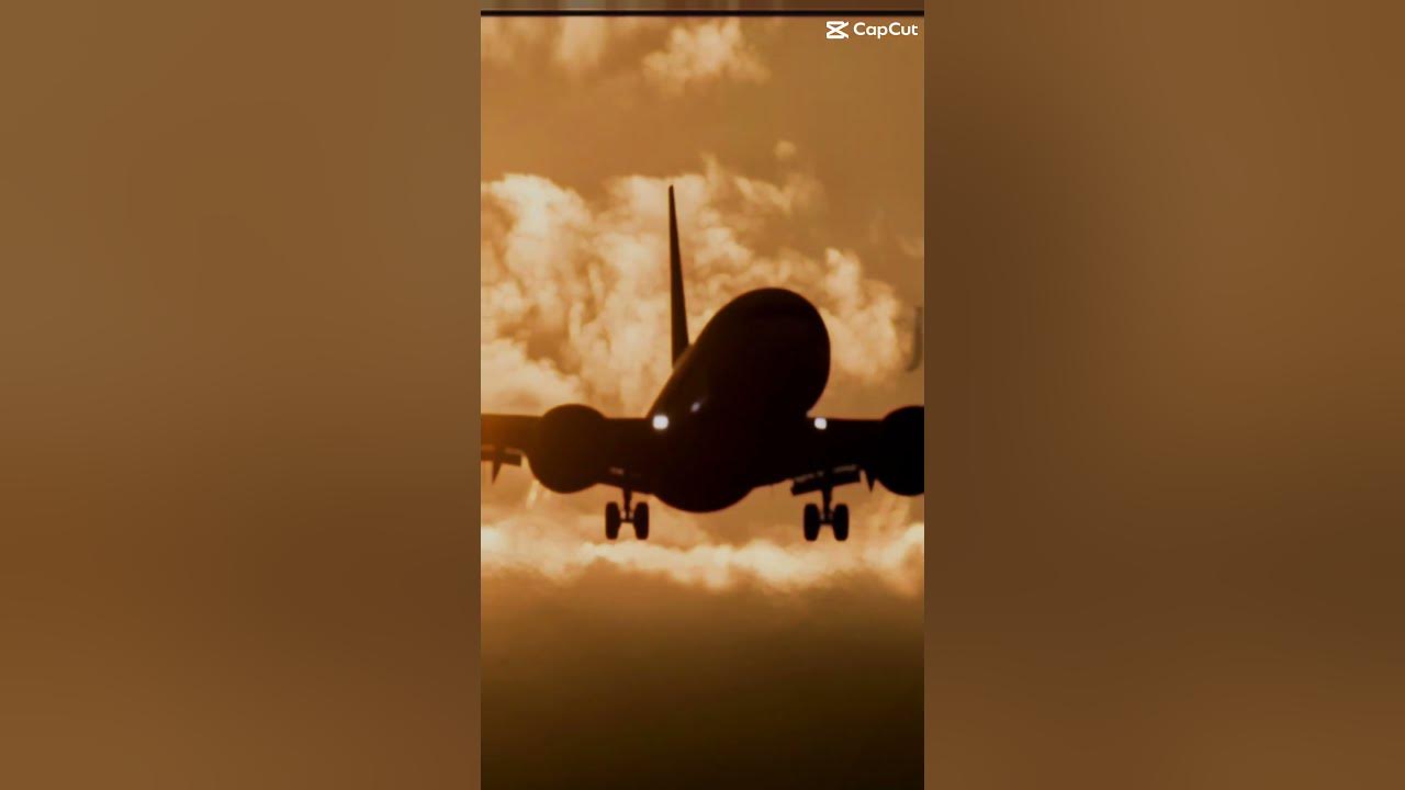 All buzz By ryanair (Sry if this is boring i cant think of any more) #buzz #ryanair # ...