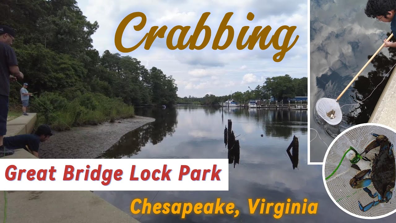 Blue Crab Line Crabbing at Great Bridge Lock Park in Chesapeake ...