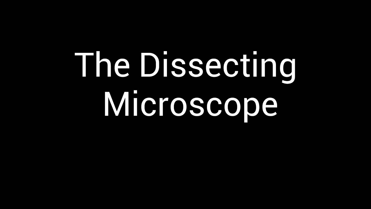 Compound and Dissecting Microscopes - YouTube