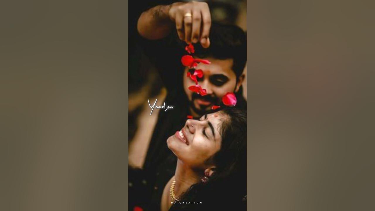 Yavole Yavole New Love WhatsApp States Video Like This Video yavole-yavole-new-love-whatsapp-states-video-like-this-video
