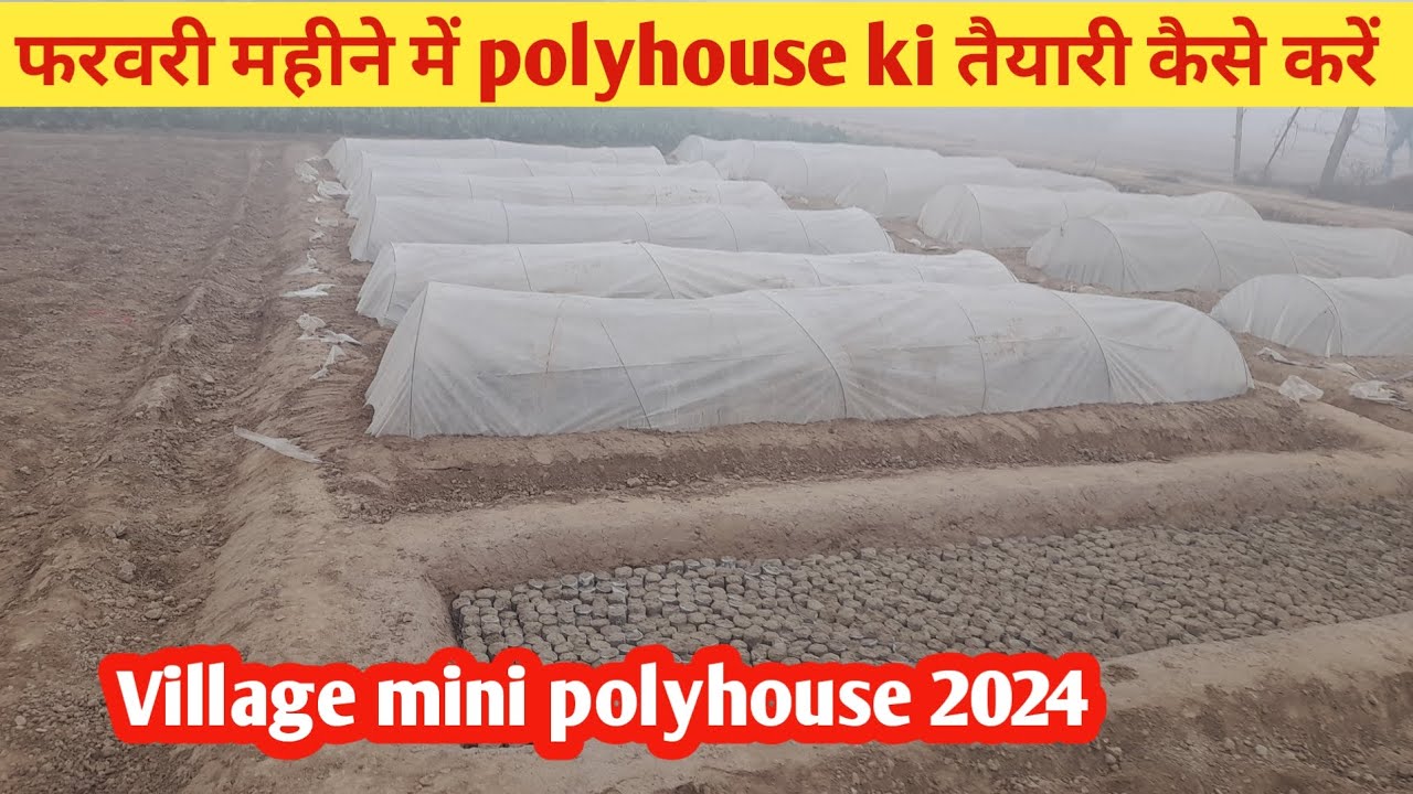 How To Make Mini poly House | polyhouse | polyhouse ki kheti kaise kare ...