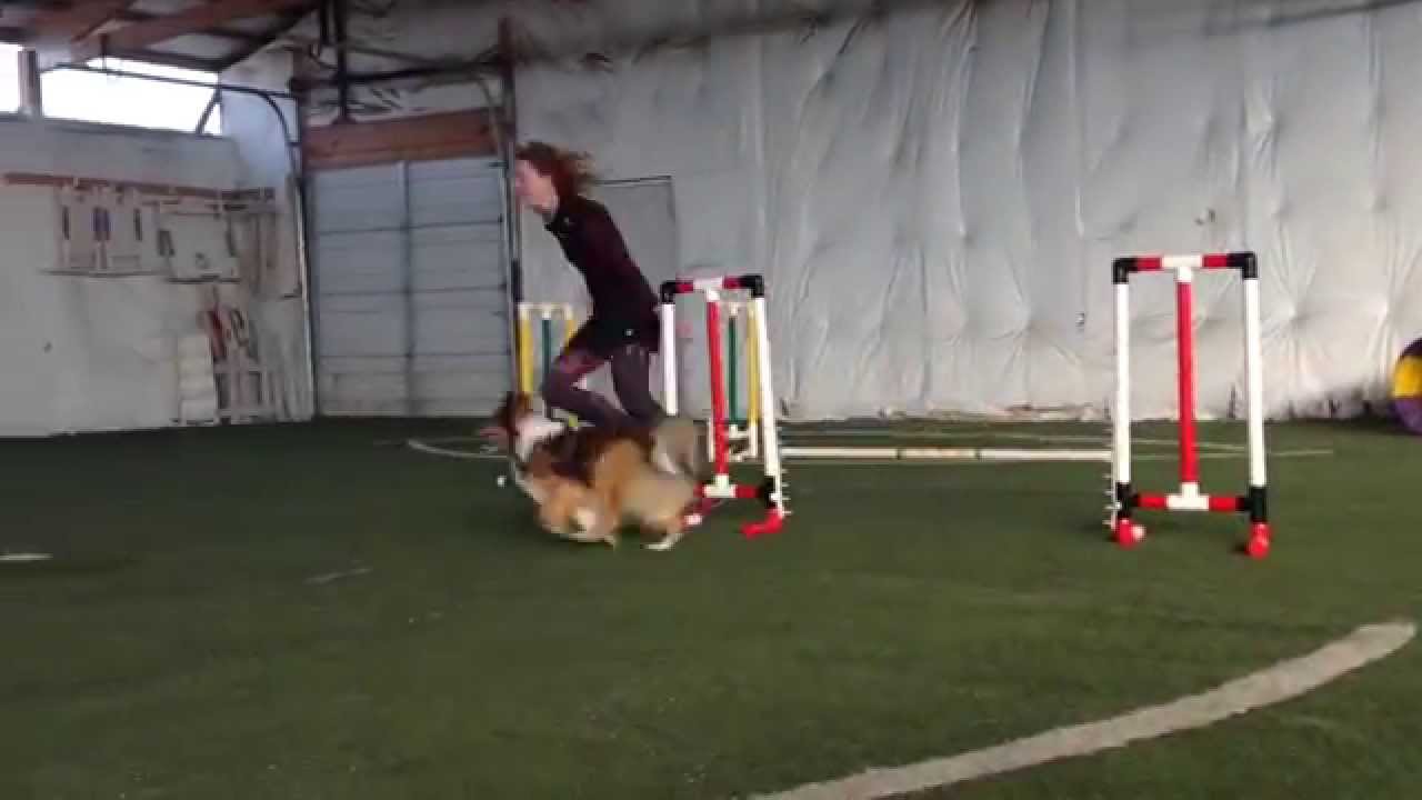 Battlestar vs Silvia Trkman's Agility Foundations Class - YouTube