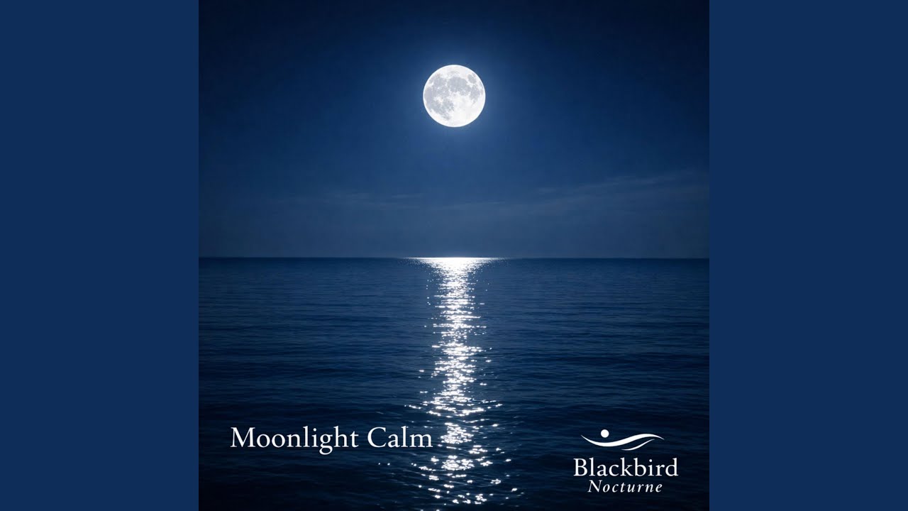 Moonlight Calm - YouTube
