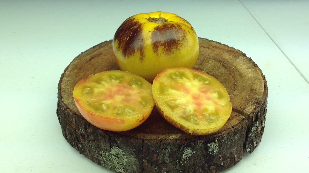 Yellow Dragon Tomato: Perfect Choice For Garnish, Cooking. Prolific ...