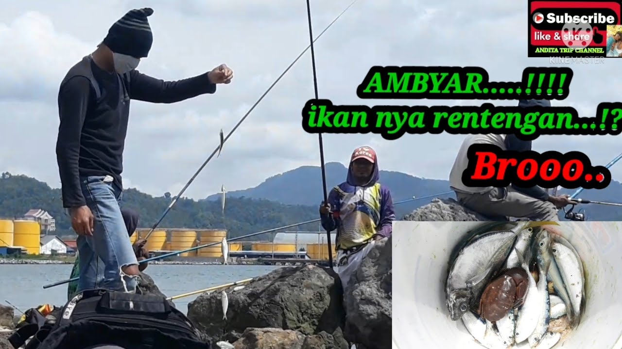 AMBYAAARR broo....!!! ikan TANJAN nya berenteng kaya chiki disini ...