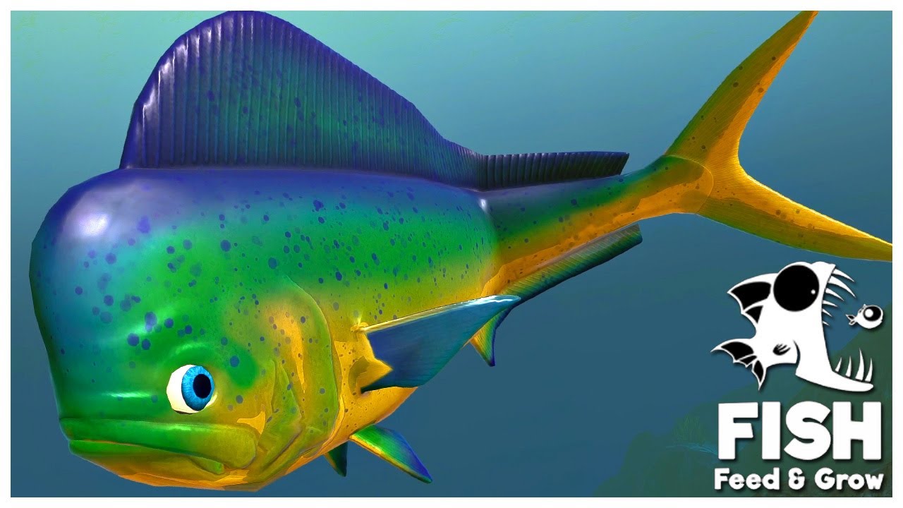 Mahi Mahi denkt auch an die Familie - Feed and Grow: Fish 🐟 [HARD ...