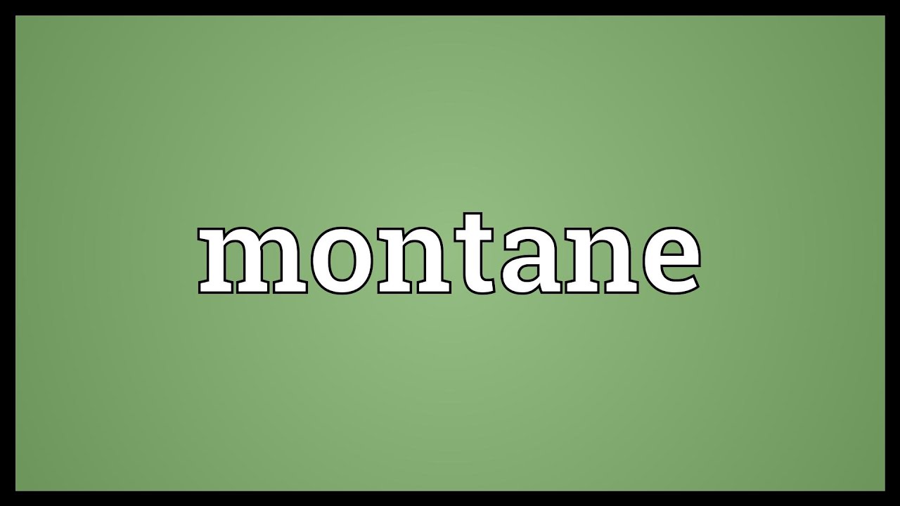 Montane Meaning - YouTube