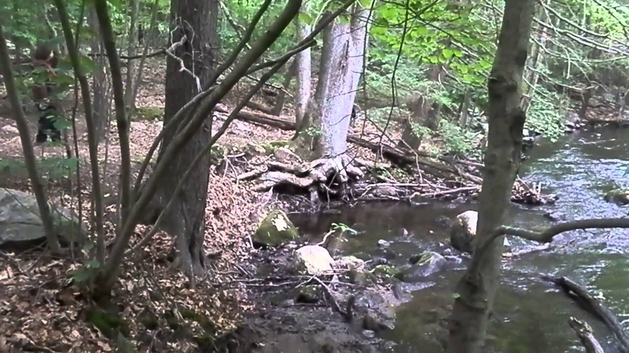 Mianus River Park, CT - YouTube