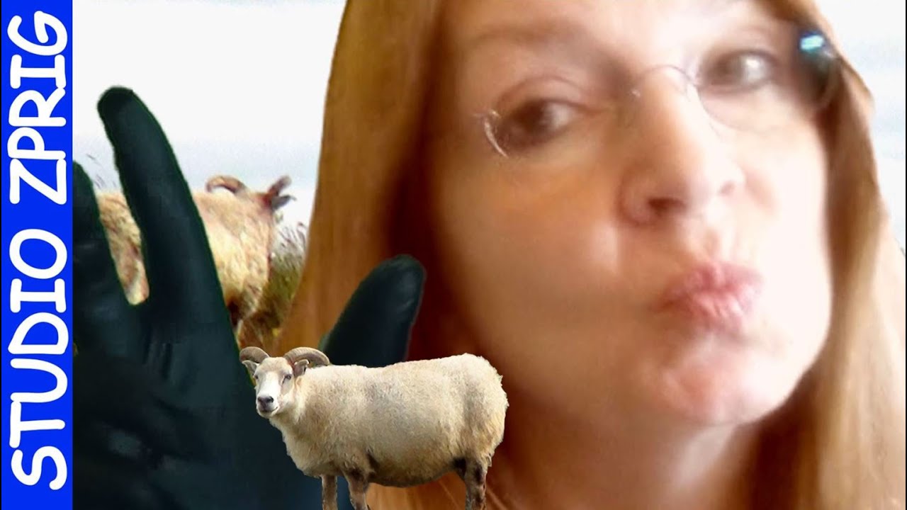 KISS SOUNDS ★ ASMR ★ Sheep & Omnom Tongue Clicking Mouth Sounds - YouTube