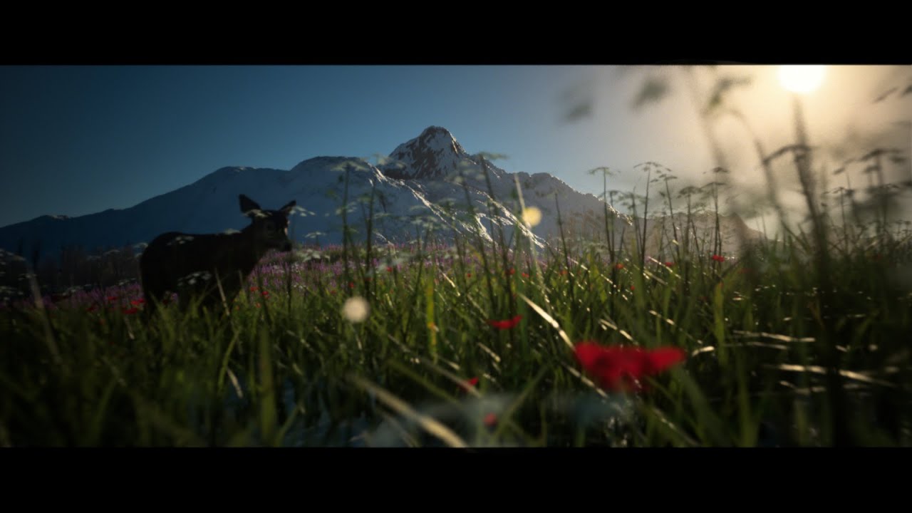 UE5 Nature Scene Unreal Engine Photorealistic - YouTube