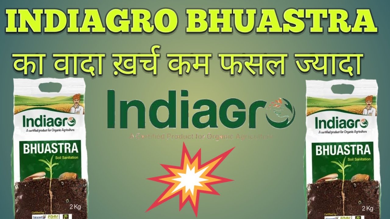indiagro Bhuastra result बाजरे की खेती में l खर्च कम पैदावार ज्यादा ...