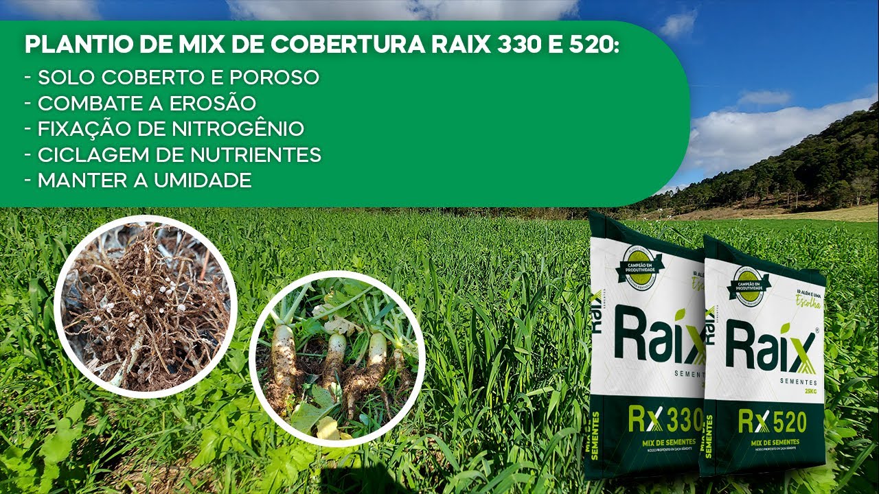 Plantio Mix Cobertura RAIX 330 e 520: Solo Coberto/Comb.Erosão/Fix.N ...