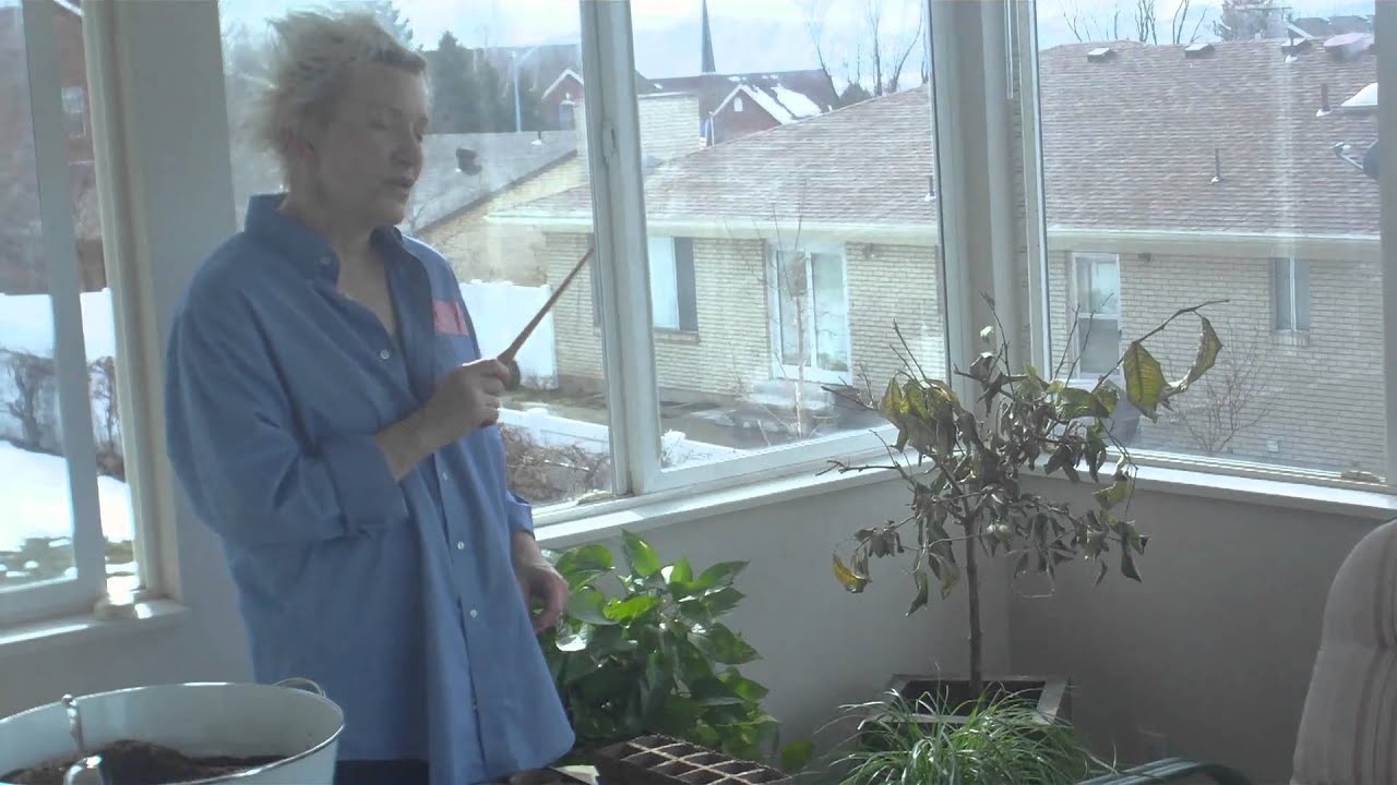 Harry Potter Herbology Class With Mrs. Sprout - YouTube