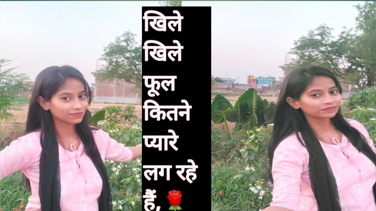itne pyare pyare phool khile Hain#ladduvlog video 🌹🌹 - YouTube