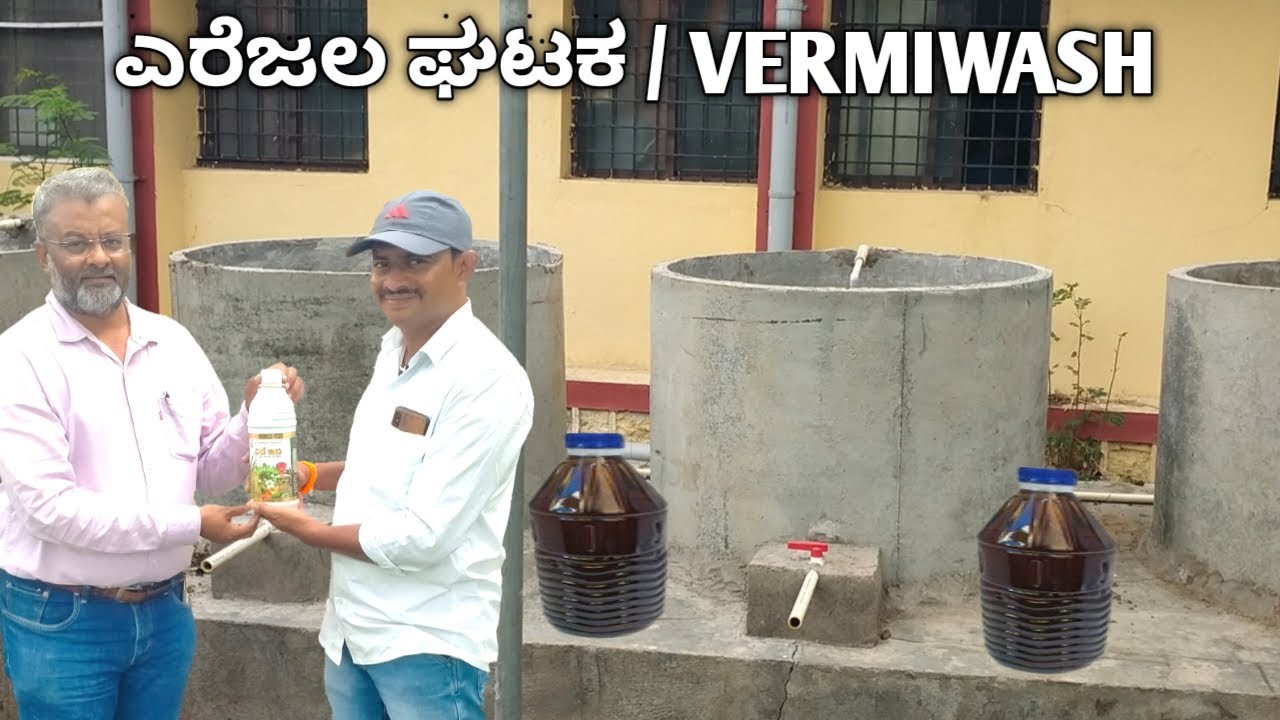 Vermiwash 💦 organic liquid fertilizer || organic fertilizer || ಎರೆಜಲ 💧 ...