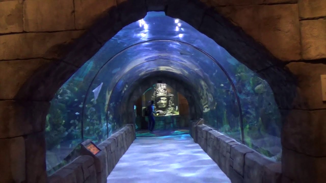 Great Maya Reef - YouTube