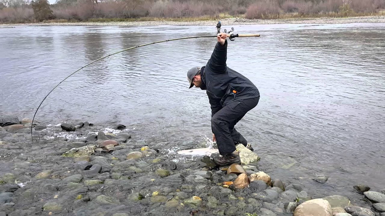 American River steelhead fishing - YouTube