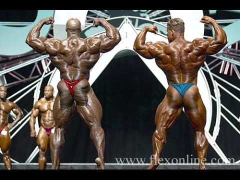 Mr Olympia 2003 Revisited !