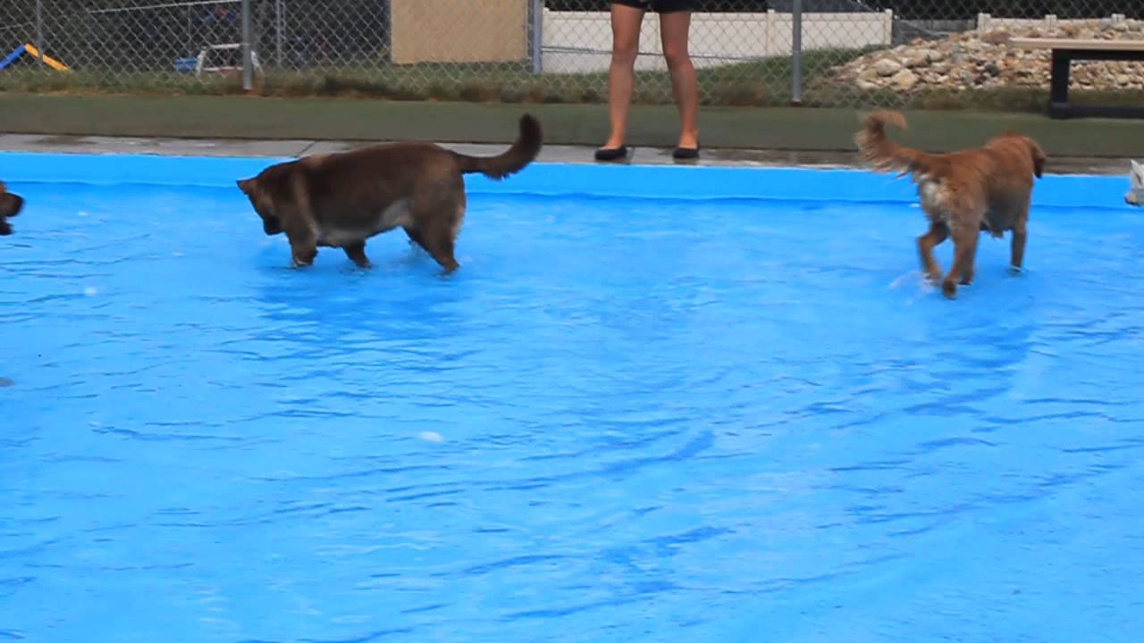 Giant Ice Cubes in the Pool - YouTube