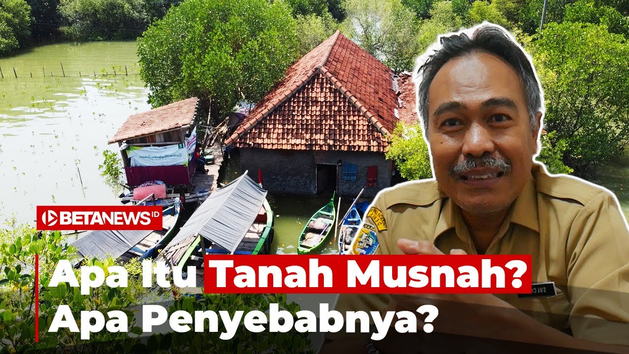Apa Itu Tanah Musnah? Apa Penyebabnya? - YouTube