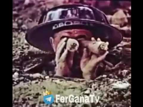 Waharda qizlar🙈🙈🙈😂😂😂