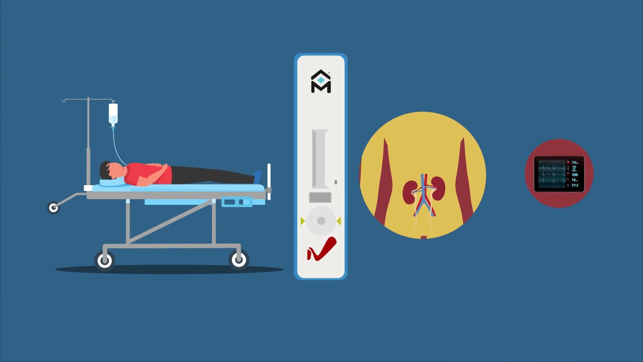 BRAVA! NephroCheck Predicts Acute Kidney Injury in Emergency ...
