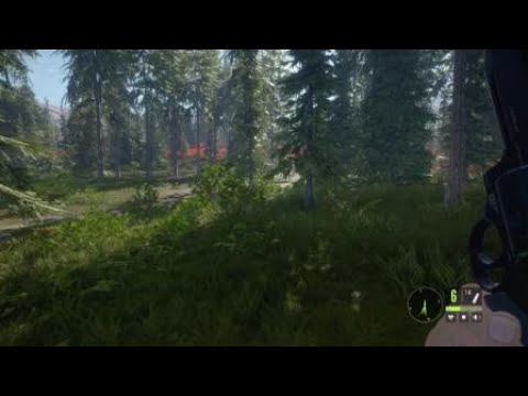 moose attack in alaska moose hunted with compound bow - YouTube