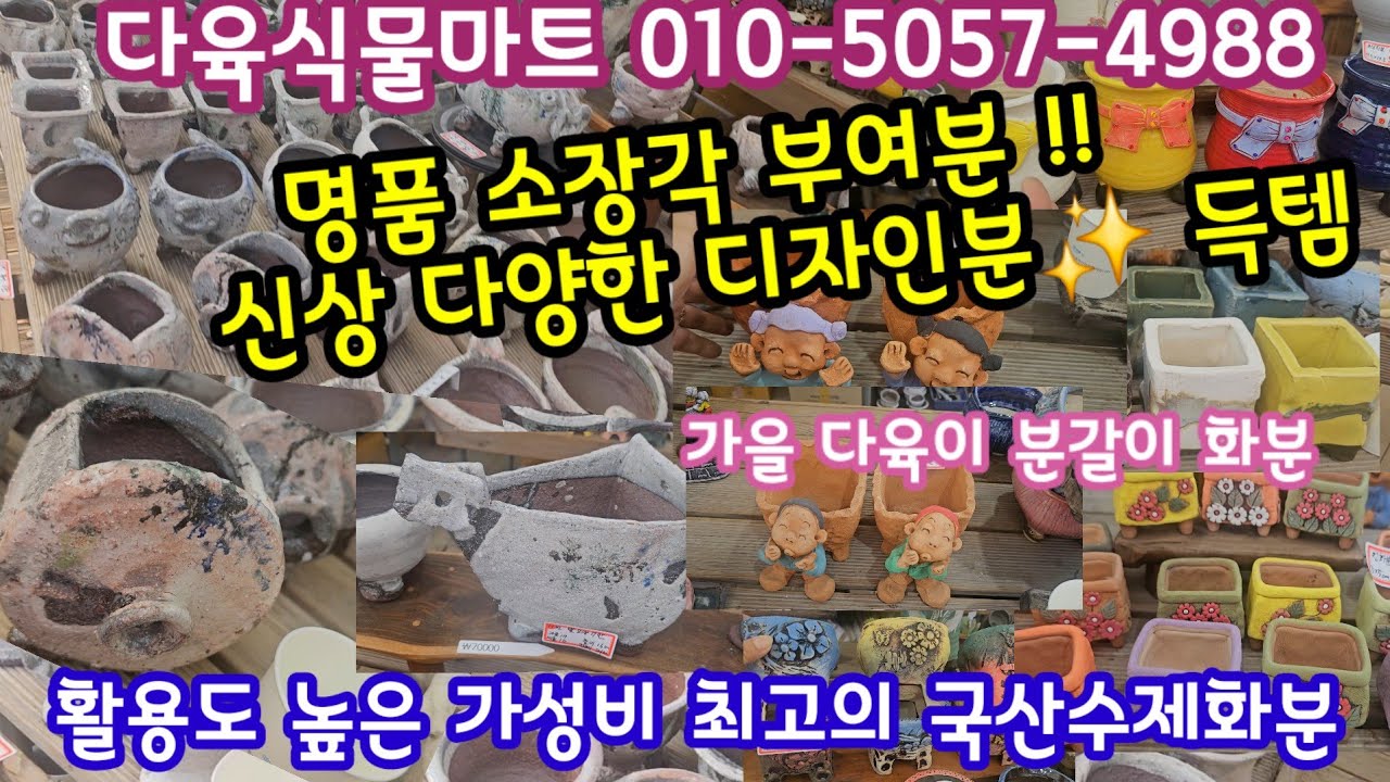 가을 다육이 화분 쇼핑 🛍 디자인 부여분 명품중에 명품 소장각 득템 🌸활용도 높고 가성비 좋은 화분을 사이즈 별로~다육식물마트