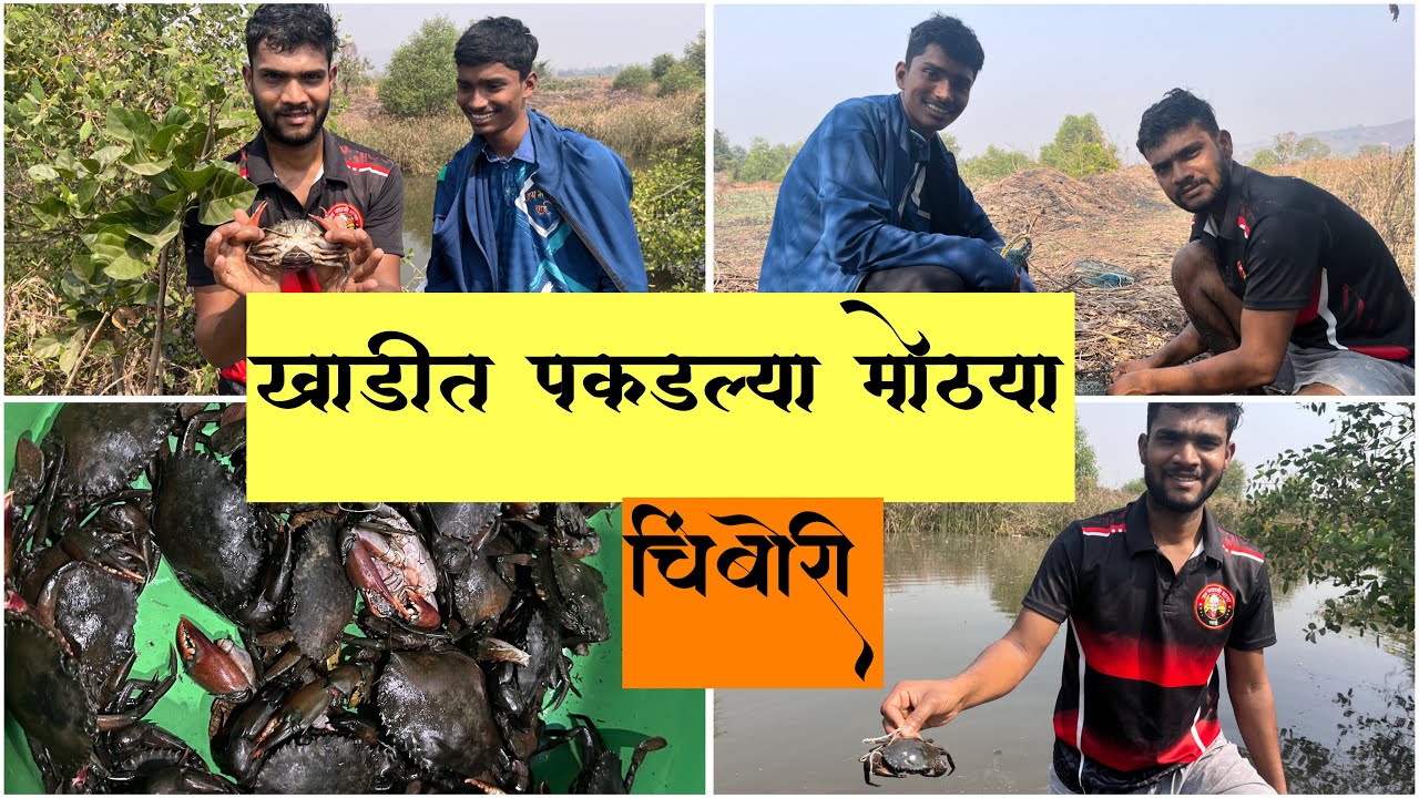 Chimborya 🦀 मित्रा सोबत गेलो खाडीवर आणि पकड़ल्या मजबूत 😱 चिंबोर्या # ...