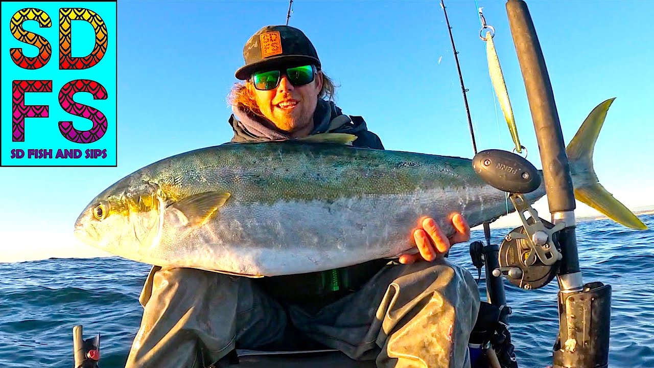 Winter Yellowtail Fishing San Diego | Tady YoYo Iron & Commercial Solo ...
