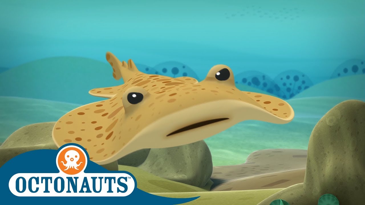 Octonauts - The Ray's Special Power | Cartoons for Kids - YouTube