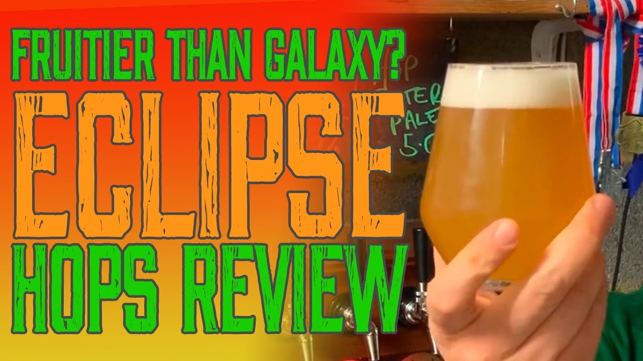 Eclipse Hops - Hop Tester Review & Taste Test - YouTube