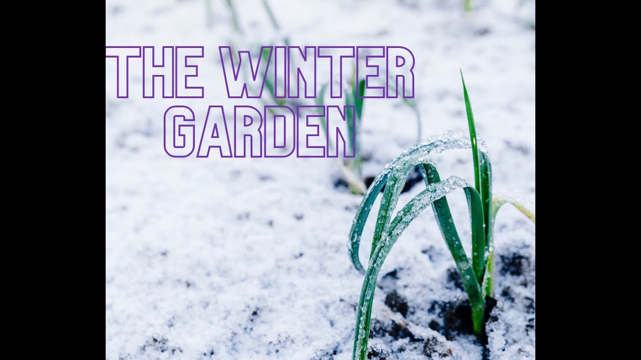 The Winter Garden and Poetry - YouTube